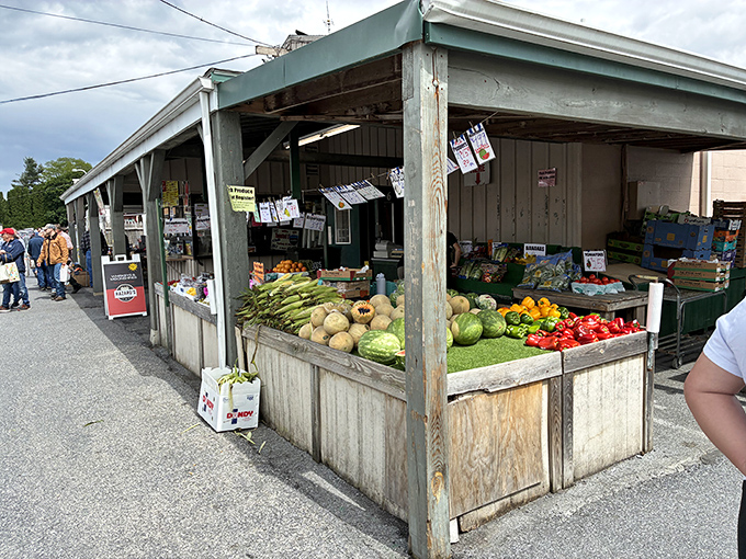 Nature's color palette on display – these farm-fresh vegetables weren't meeting their destiny in a grocery store yesterday, they were still growing.