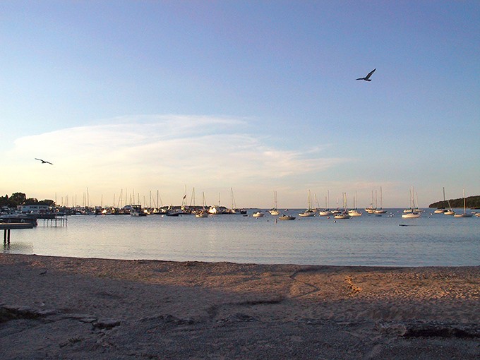 Golden hour transforms the harbor into nature's Oscar-worthy performance. Sailboats take their curtain call as day gently bows to evening.