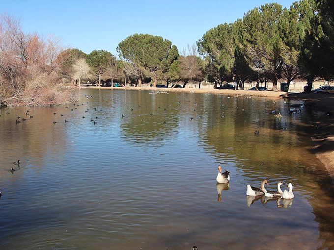 Hesperia Lake Park offers tranquility with a side of fishing—no "one that got away" stories required.