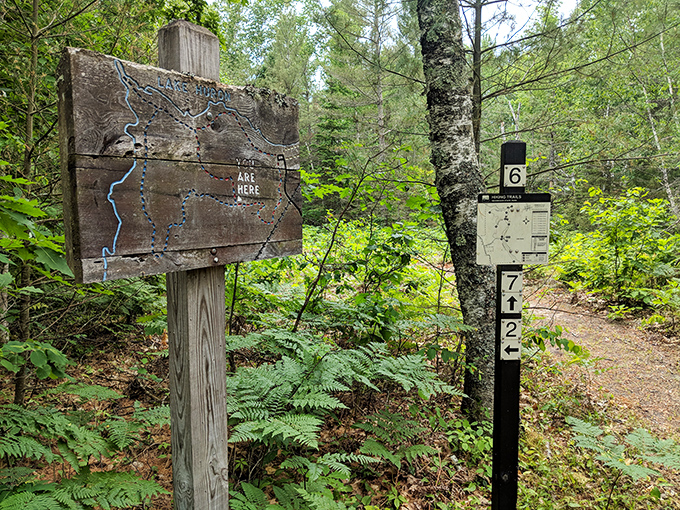 Trail markers: nature's GPS without the annoying voice. These simple wooden signs guide adventurers through Negwegon's network of unspoiled hiking paths.