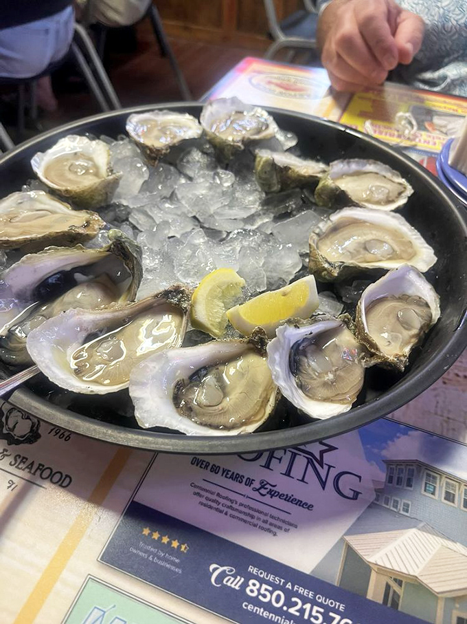 Raw oysters on ice—nature's perfect appetizer. Just a squeeze of lemon, maybe a dash of hot sauce, and you're experiencing the Gulf one slurp at a time.