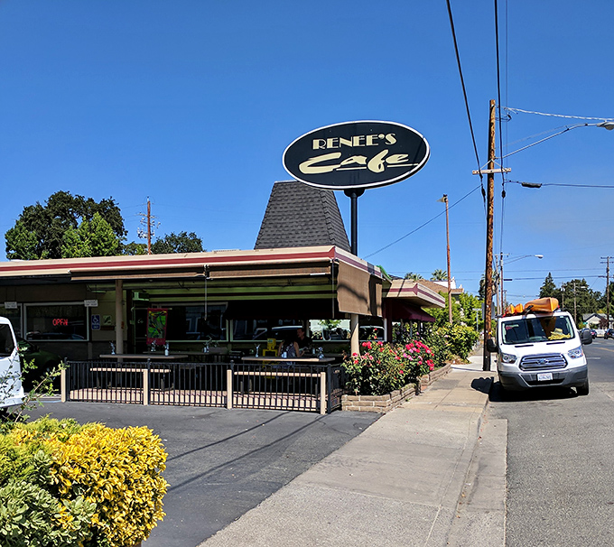 Renee's Café isn't trying to be trendy—it's been perfecting comfort food while hipster eateries were still a gleam in their investors' eyes.