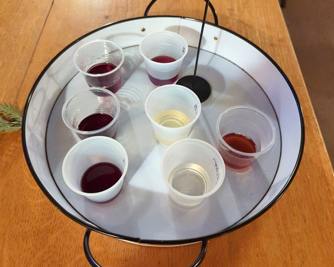 A rainbow of Ohio-grown varietals awaits your verdict—from deep crimson to pale straw, each tiny cup holds big flavors and bigger possibilities.