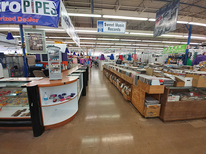 Vinyl enthusiasts can lose themselves for hours in these wooden crates, where forgotten albums wait to spin tales once more.