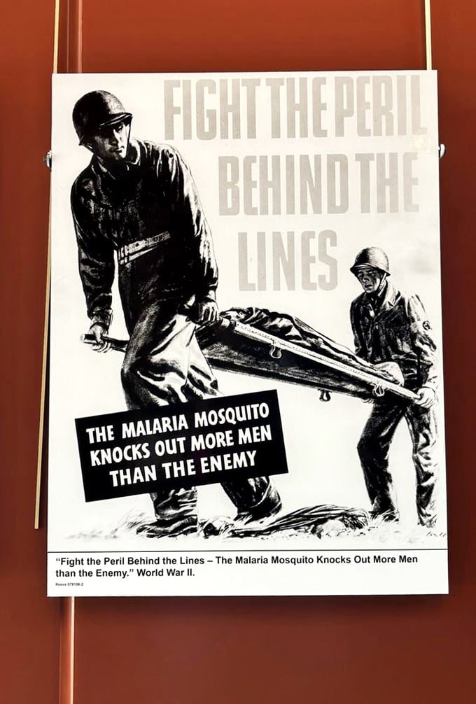 When mosquitoes were more deadly than bullets – this vintage wartime poster highlights how medicine's battlefield wasn't just against enemy forces but invisible killers too.