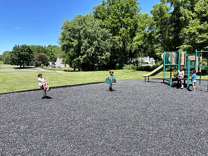 Kids finding joy in simple playground pleasures—a reminder that sometimes the best entertainment doesn't require a screen or Wi-Fi password.