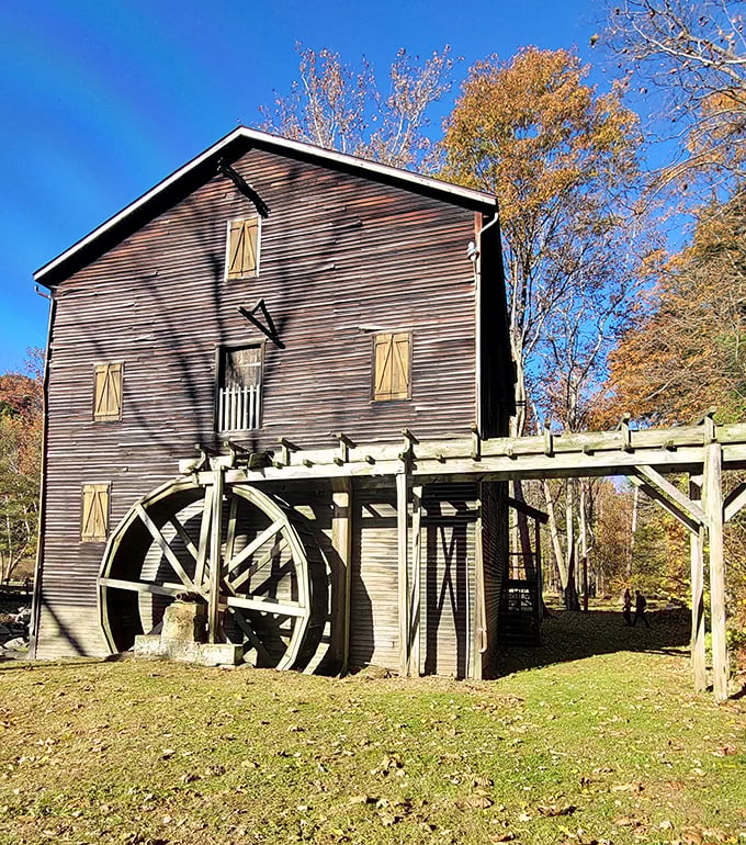 The Wolf Creek Grist Mill stands as a monument to when water power meant actual water turning actual wheels, not just another energy drink sponsoring extreme sports.