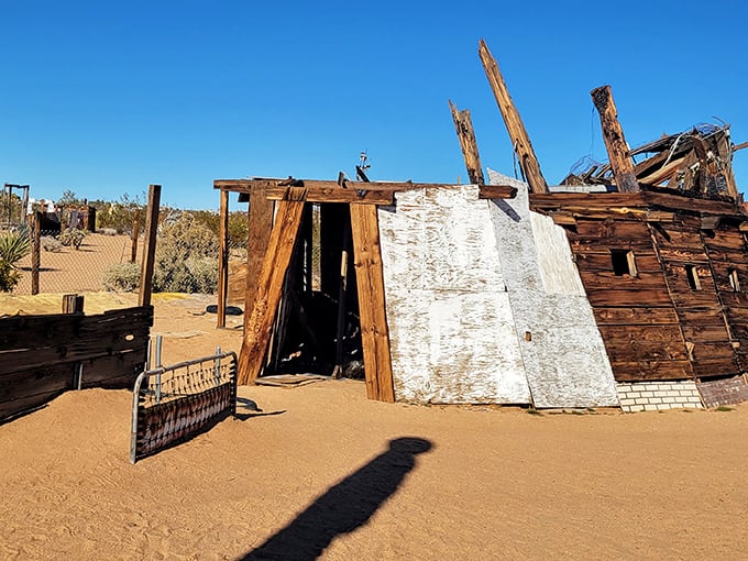 Part frontier cabin, part artistic statement—this structure challenges our notions of shelter while the desert sun casts dramatic shadows across its weathered face.