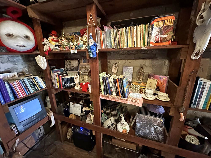The museum's bookshelves are like your eccentric uncle's library—if your uncle collected volumes on the paranormal, cults, and things that go bump in the night.