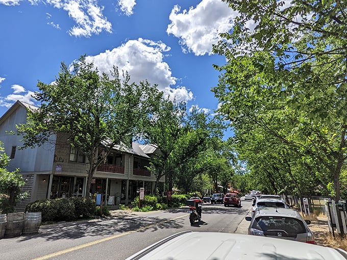 Tree-lined streets create natural air conditioning while your soul gets a much-needed vacation from city chaos.
