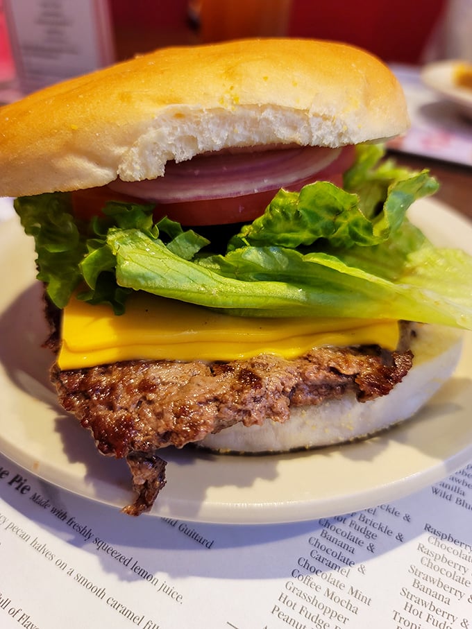 Behold the burger in its natural habitat—simple, honest, and perfectly proportioned. The cheese melts just right, like it's auditioning for a food commercial.