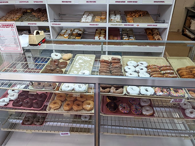 The display case—a museum of fried dough masterpieces. Each shelf offers a different path to happiness.