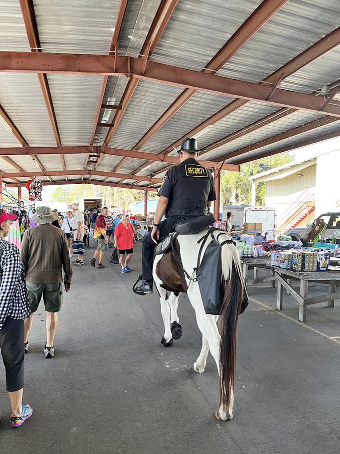 Security on horseback—because in Webster, even law enforcement has old-school flair. This cowboy keeps the peace while making a fashion statement.