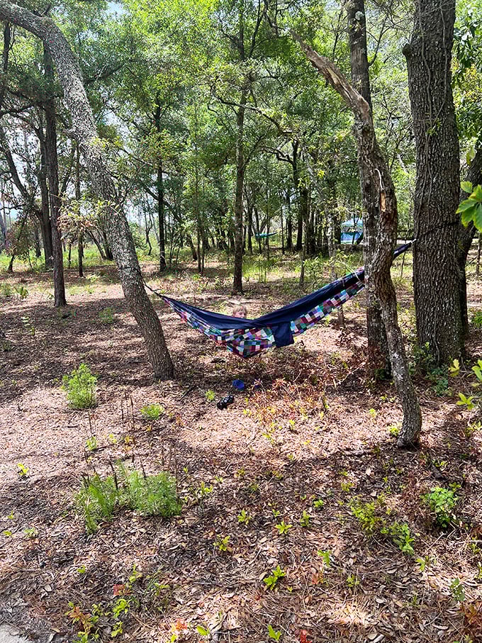 The original Florida hammock – not the swampy kind, but the "afternoon nap suspended between two trees" kind. Pure bliss.
