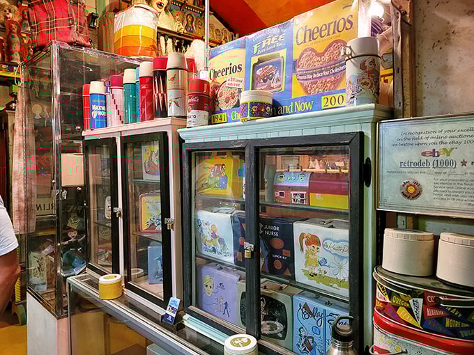 Behind glass but not forgotten, these vintage lunchboxes aren't just metal containers – they're time capsules of Saturday morning cartoons and schoolyard status symbols.