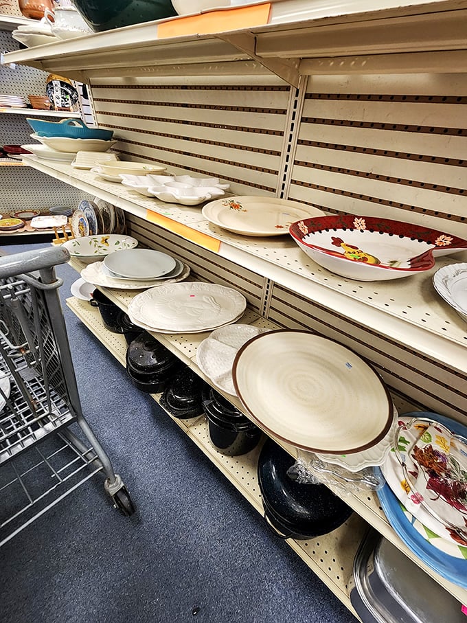 Dish paradise! From everyday plates to special occasion platters, these ceramic treasures are ready to serve up your next meal in style.