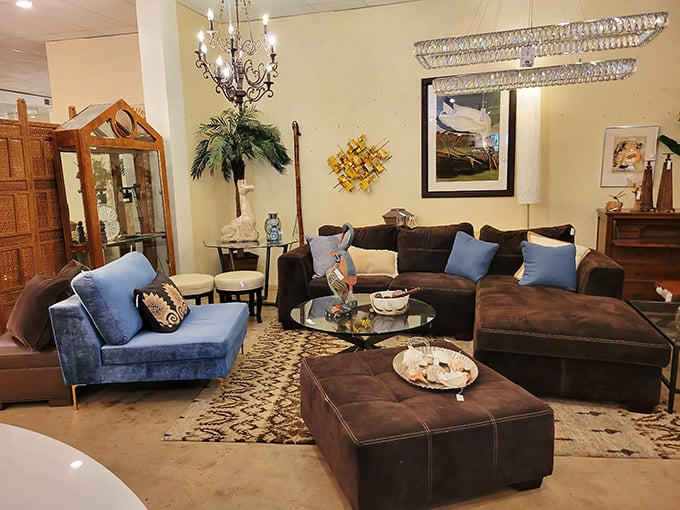 The chocolate sectional and blue accent chair aren't just furniture—they're relationship counselors helping couples compromise on style decisions daily.