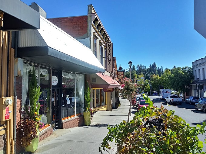 Small-town shopping that puts mall culture to shame – where store owners actually remember your name and window displays change with genuine seasons.