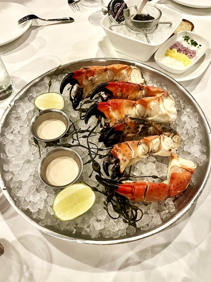 Stone crab claws presented on ice with surgical precision. Nature's perfect appetizer requires no improvement—just a squeeze of lemon and appreciative sighs.