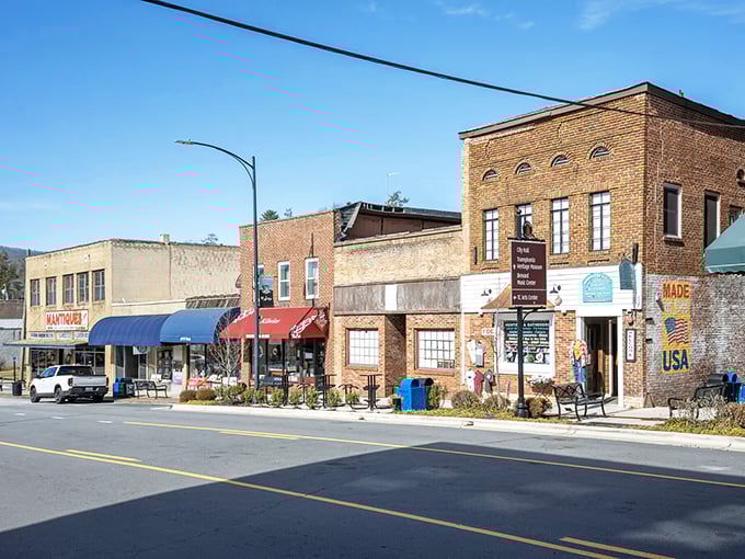 Brick storefronts with character to spare line Brevard's main drag, each one housing treasures that no algorithm could ever recommend to you.