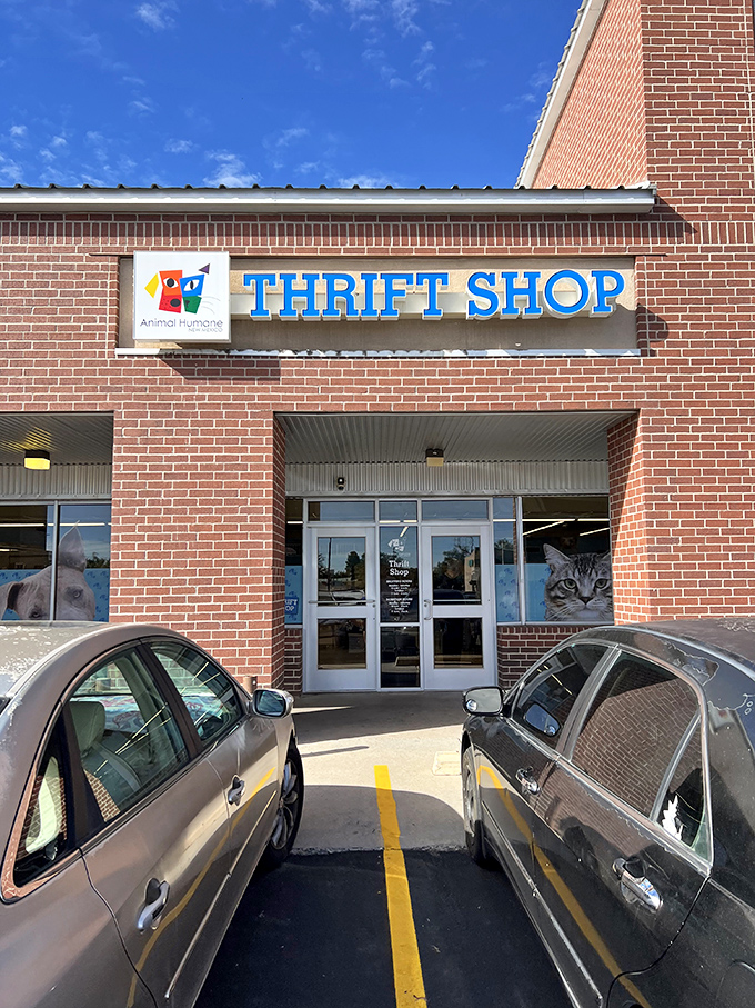 The Animal Humane Thrift Shop's bright blue sign welcomes pet lovers. Those cat and dog silhouettes remind you who benefits from your shopping spree. 
