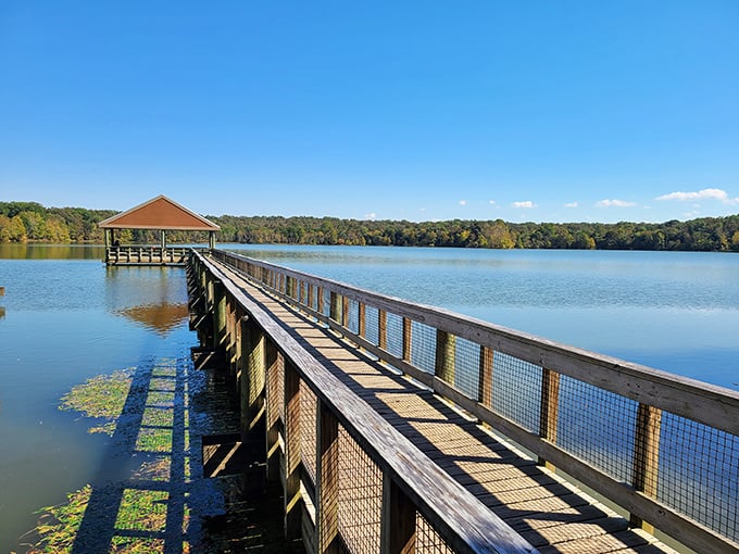 Long Hunter State Park's shoreline views make even non-photographers wish they'd brought a better camera.