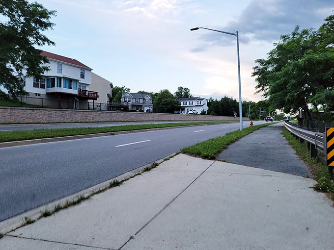 Owings Mills blends suburban convenience with unexpected pockets of serenity – modern life with breathing room.
