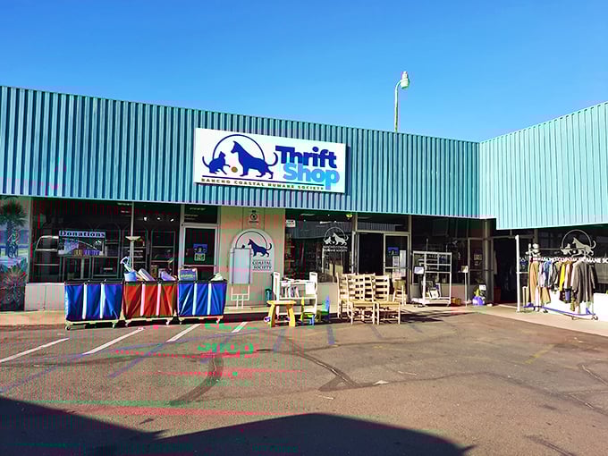 The bright turquoise exterior of this animal-loving thrift shop is almost as cheerful as finding designer labels at bargain prices.