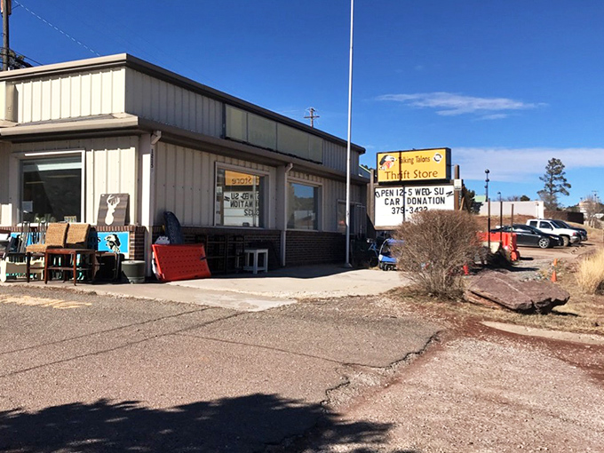 Talking Talons' modest exterior belies the mountain of treasures within—where outdoor gear finds new adventures and furniture tells stories.