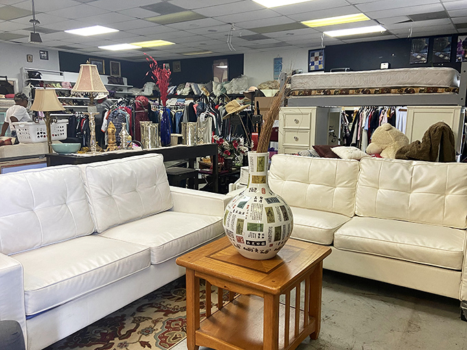 White couches that look like they've never met a spilled coffee – the unicorns of the thrift store world.