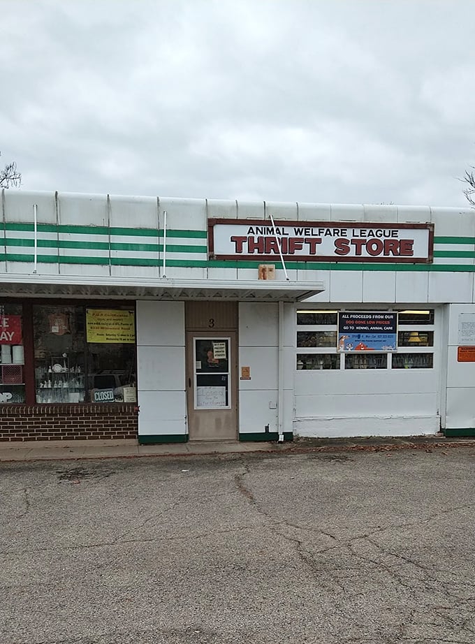 Don't let the modest storefront fool you – Animal Welfare League's thrift shop packs surprises in every corner.