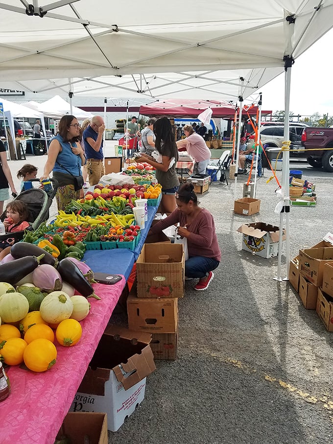 Farmers market fellowship! Under simple white tents, the age-old tradition of buying directly from growers creates connections beyond the transaction.