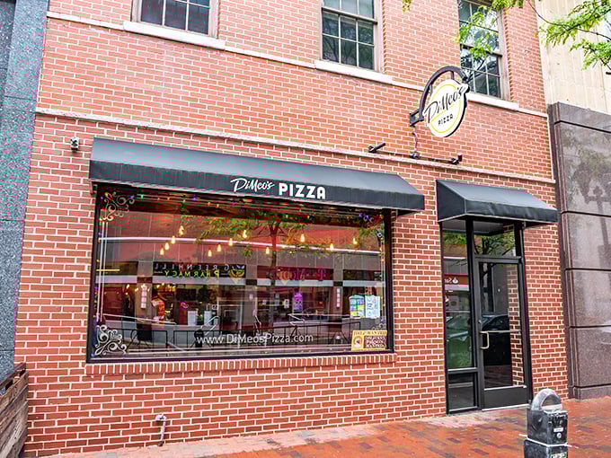 Those string lights aren't the only things glowing at DiMeo's—wait until you see the perfect char on their hand-tossed crust.