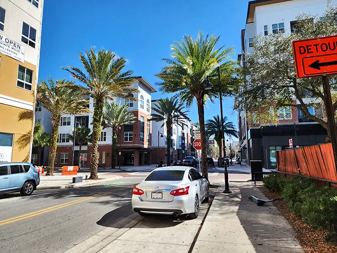 Palm-lined streets and colorful buildings make Gainesville feel like a tropical paradise where your Social Security check actually covers the rent.