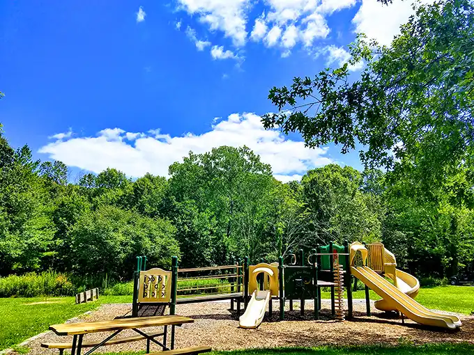 Playground paradise! Hidden Springs offers family fun surrounded by towering trees, where kids can burn energy while adults relax.