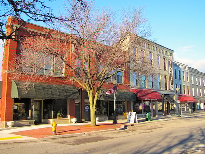 Sunlight plays across Monroe's downtown architecture – highlighting details from an era when buildings were made to impress for centuries, not quarters.