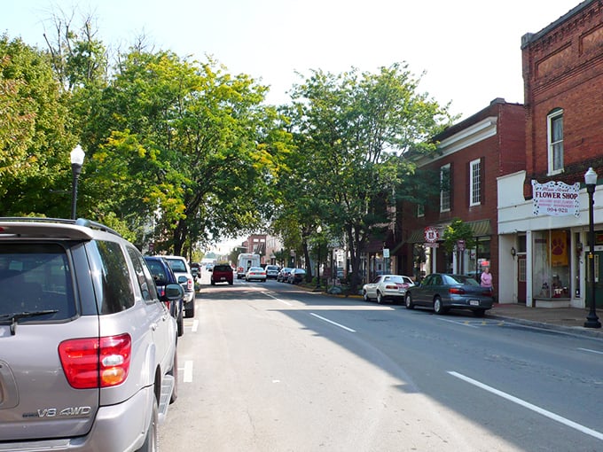 The tree-canopied streets of Pulaski provide shade in summer and a kaleidoscope of color in fall.