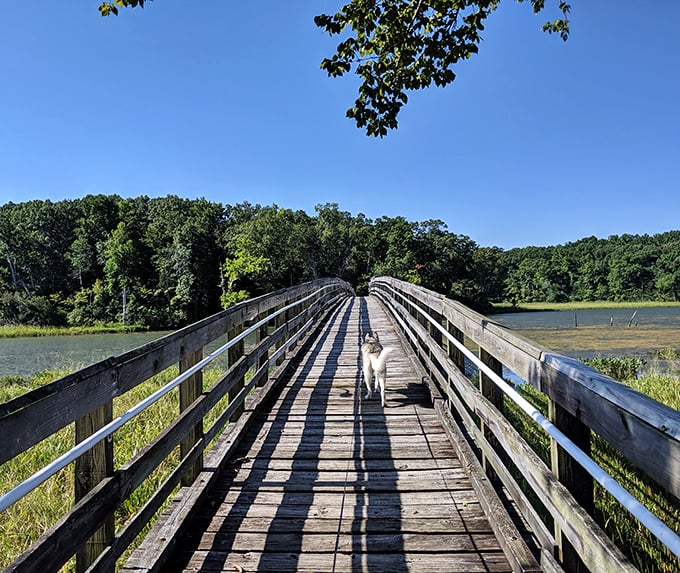 Mirror, mirror on the water! Smallwood's docks reflect cloud paintings on the glassy surface of Mattawoman Creek.