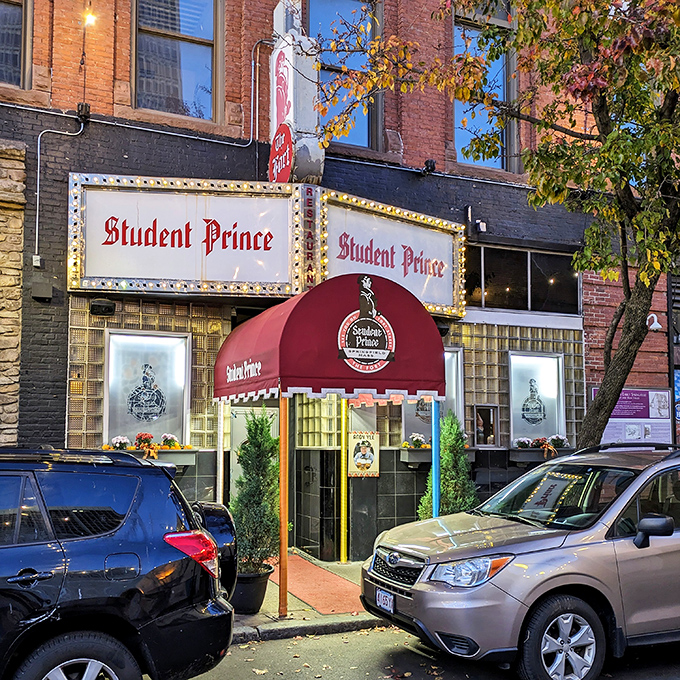 Those little Christmas trees aren't the main attraction—they're just the opening act for the meat masterpiece waiting inside.
