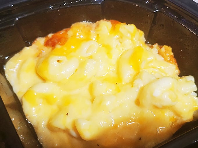 Mac and cheese that's achieved that perfect molten state—where cheese stretches like it's doing yoga when you lift your fork.