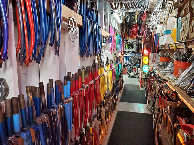 A rainbow of bicycle forks creates an oddly satisfying display of cycling components—proof that even bike parts can become accidental art.