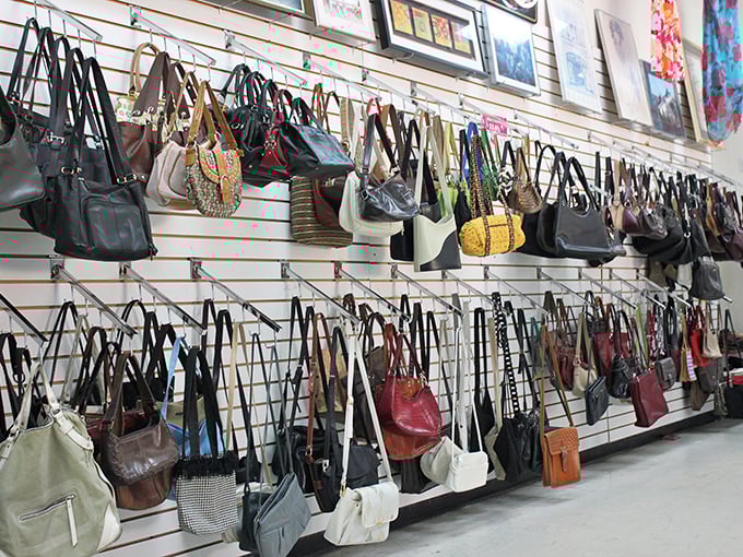 The wall of handbags tells a thousand stories. Each purse once carried someone's secrets, lipsticks, and probably at least one forgotten receipt.
