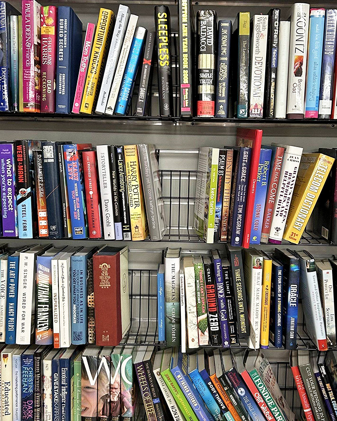 Literary treasures stacked with care—from self-help books abandoned mid-journey to novels waiting for their second chance at a first impression.