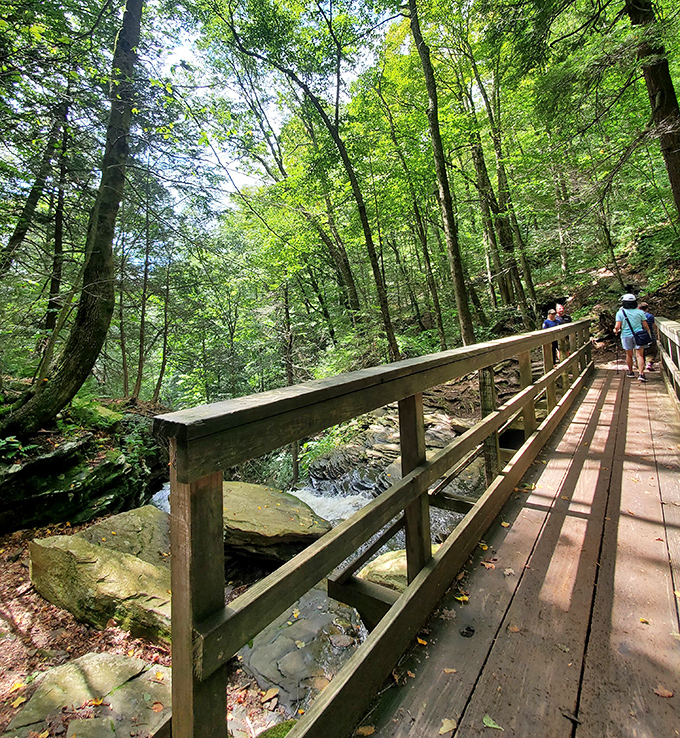 This rustic bridge isn't just functional – it's the perfect spot for that "I'm one with nature" photo that'll make your desk-bound friends properly jealous.