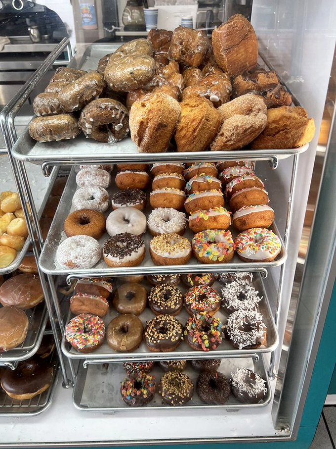 The multi-tiered display case is like the Louvre of fried dough—each shelf a different gallery of sugary masterpieces waiting for their moment in the spotlight.
