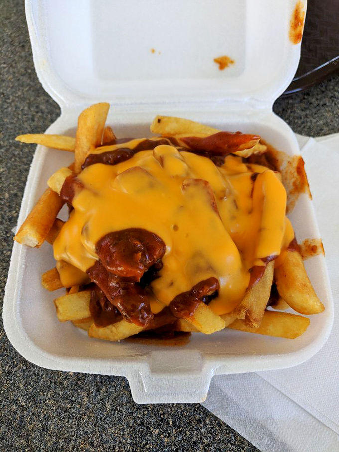 Chili cheese fries: where "sharing is caring" goes to die. One bite and you'll develop a sudden case of food amnesia about your promise to split.