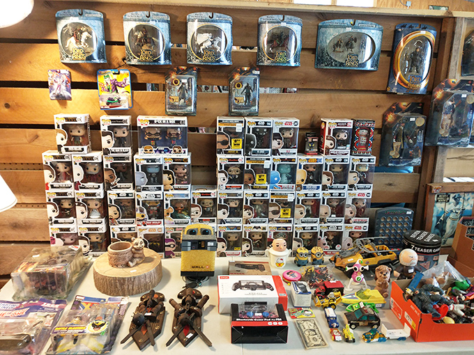 Pop culture paradise! These collectible figurines represent thousands of hours of childhood memories and adult allowance spending.