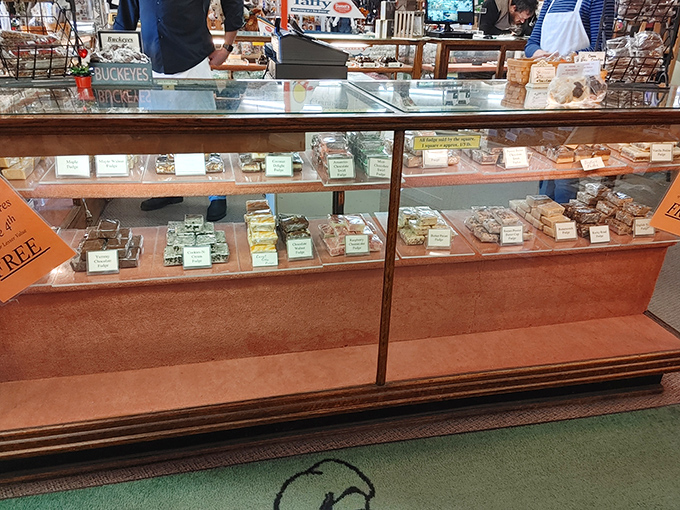The display case—where adults press their noses against glass just like they did as children. Each perfectly arranged fudge square is a small masterpiece of confectionery art.
