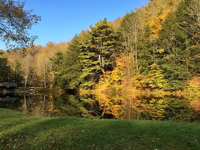 Tranquil waters capture perfect reflections of autumn foliage, creating those moments when you wonder why anyone pays for meditation apps.