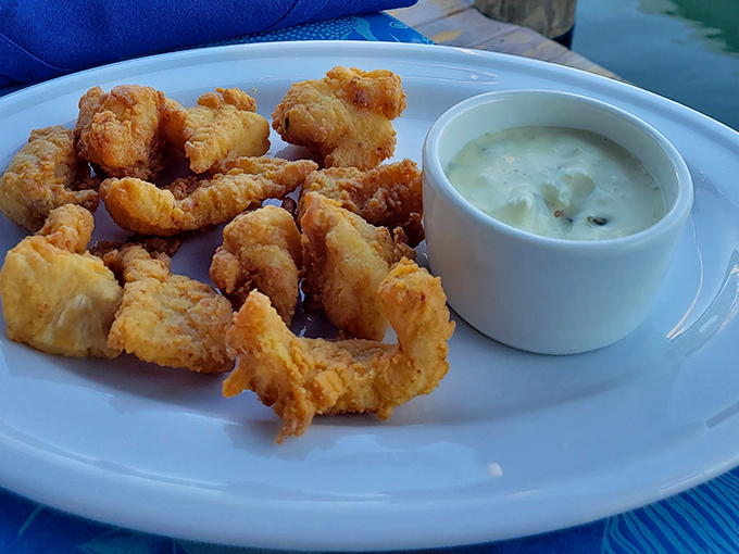 These grouper nuggets aren't playing around—golden-fried with a side of homemade tartar sauce that makes ordering seconds a foregone conclusion.